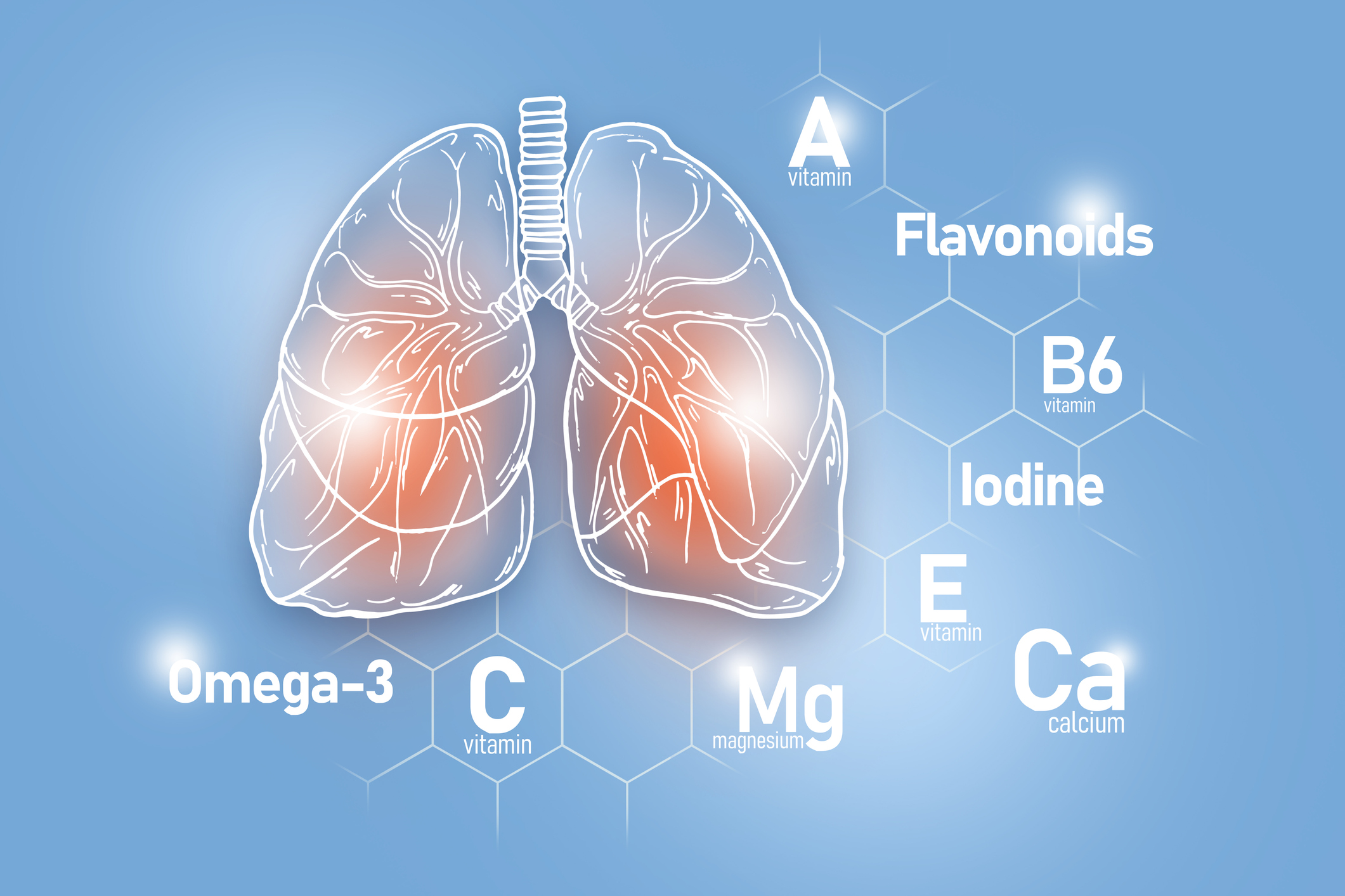 ¿Qué son los flavonoides, su distribución y su presencia en los ...