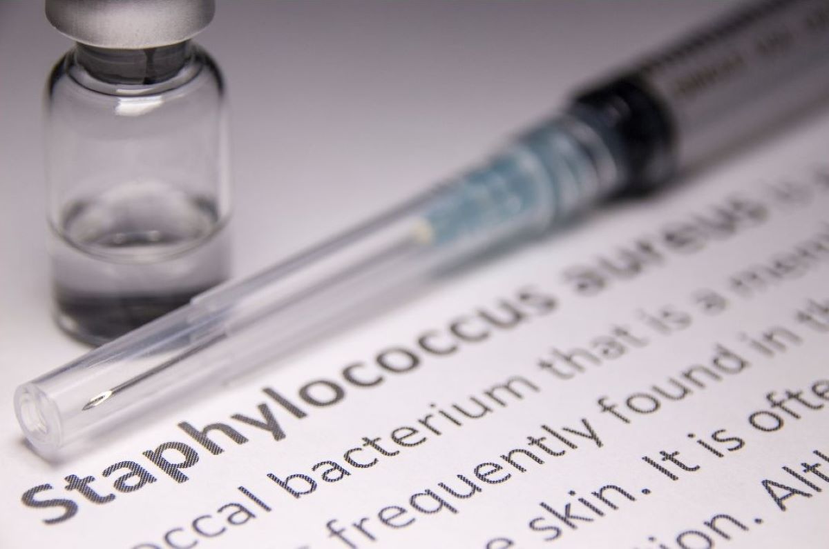 Estafilococo dorado: qué es, transmisión, síntomas y tratamiento. ¿Cómo ...